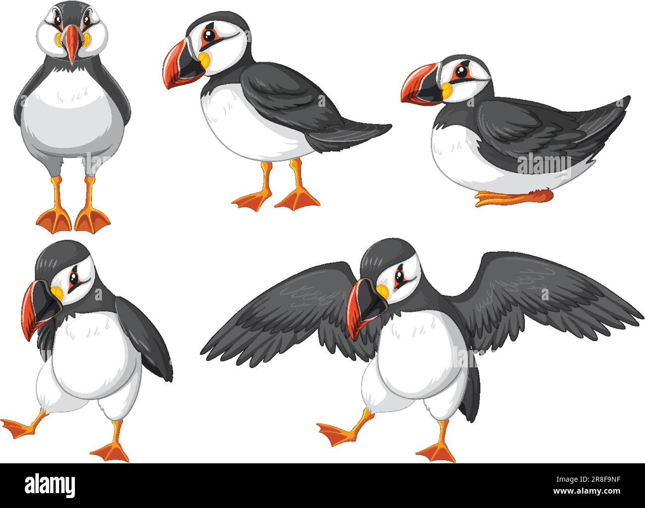 Puffin birds in cartoon style illustration Stock Vector Image & Art - Alamy