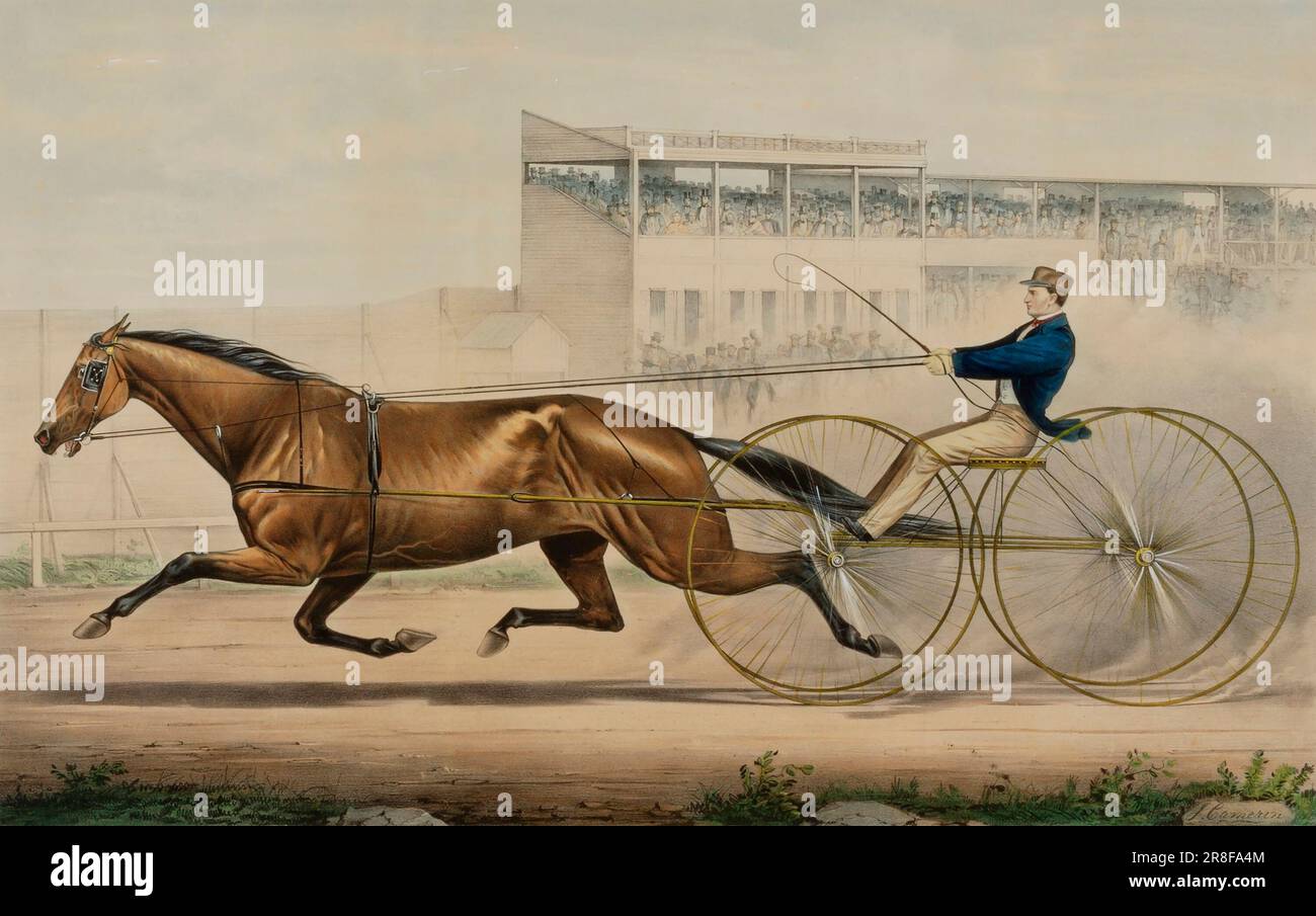The Celebrated Trotting Mare Lady Thorn 1866 by Unidentified Stock ...