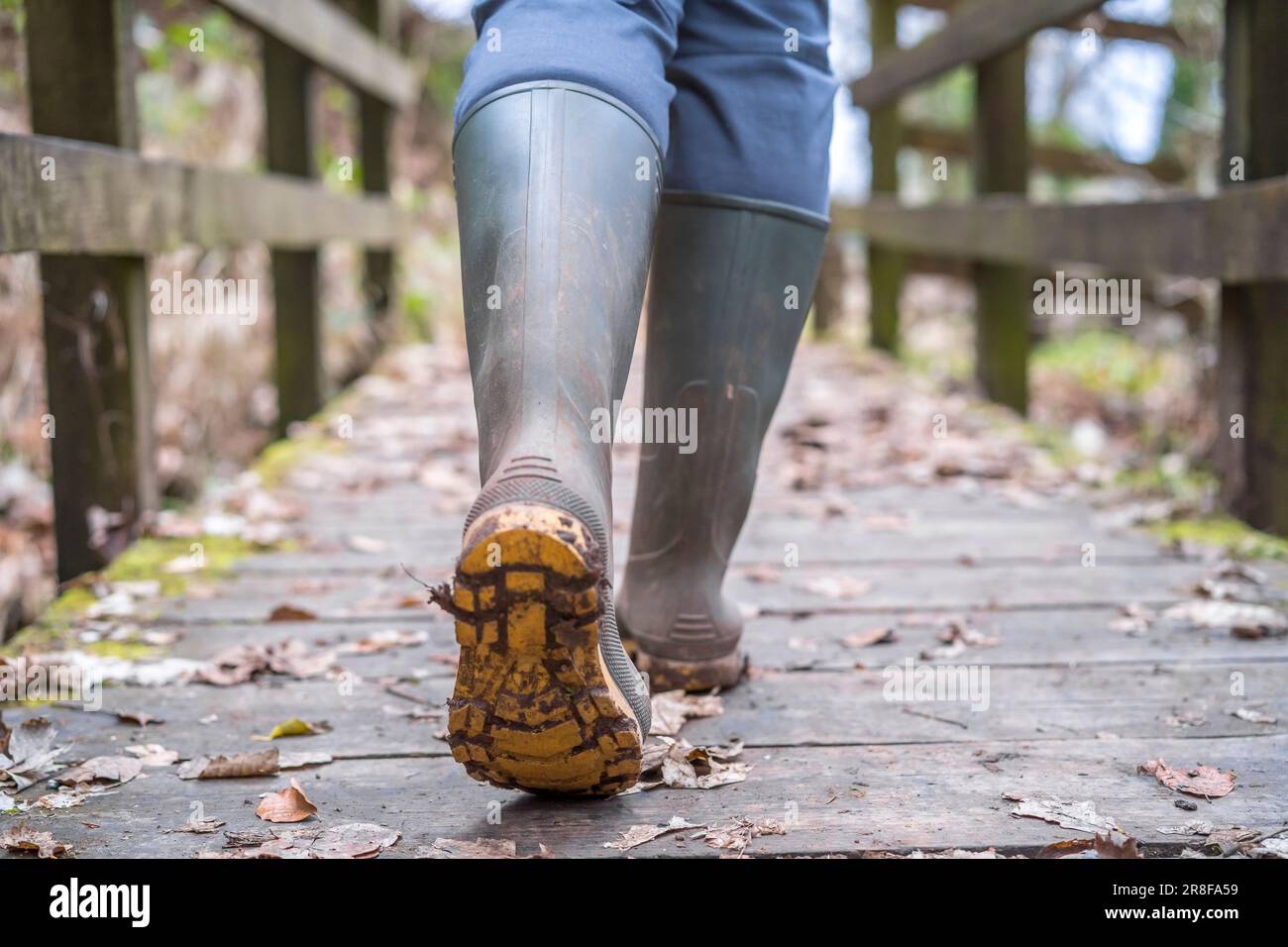 Rear low pov of a woman wearing wellies walking on a wooden footbridge ...