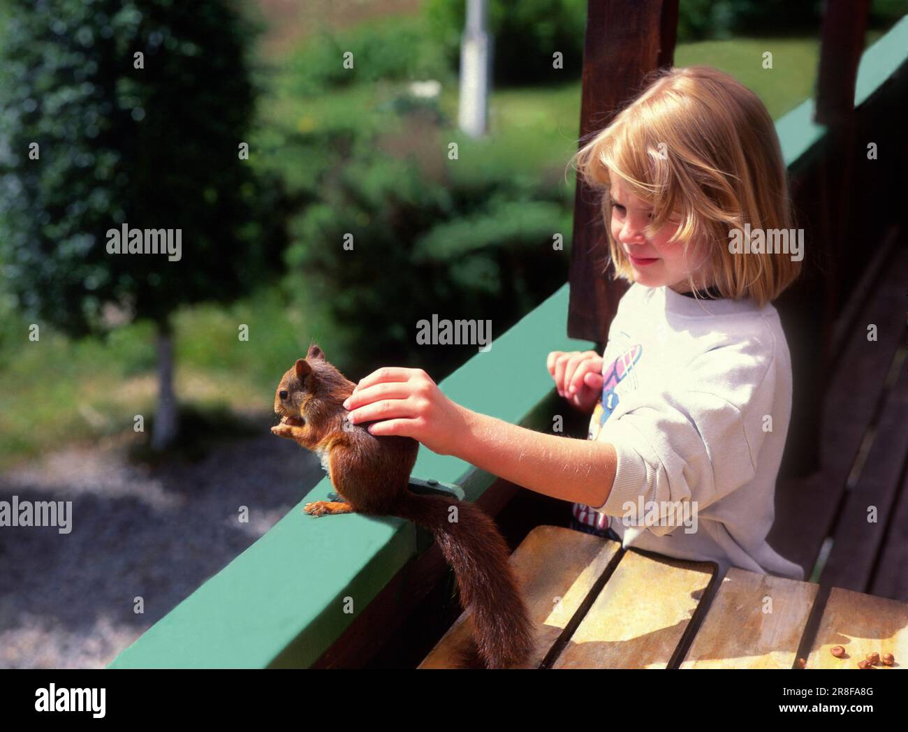 Squirrel girl hi-res stock photography and images - Alamy