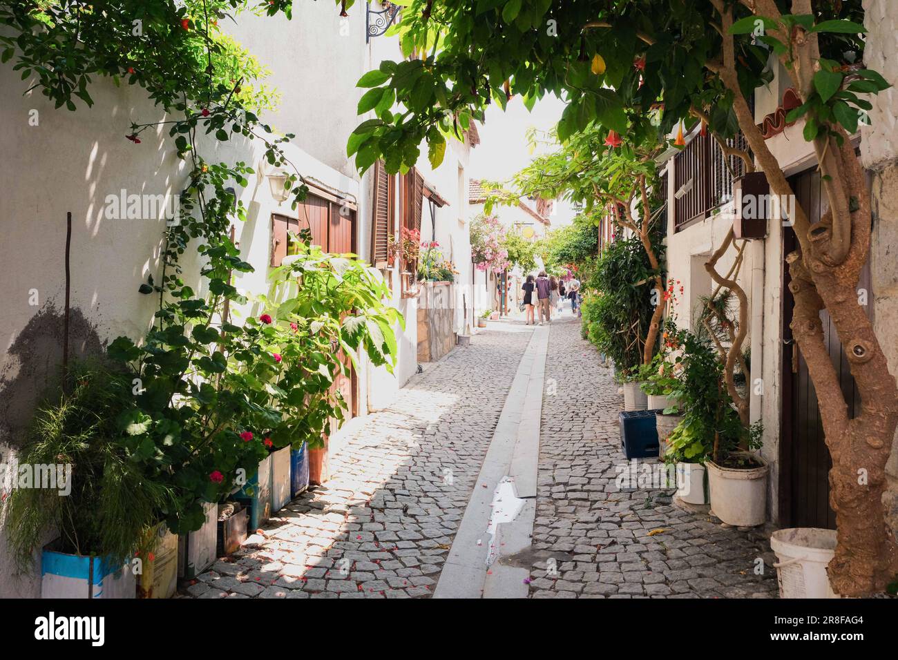 Sigacik streets, seaside town, quiet summer holiday, flowery streets ...