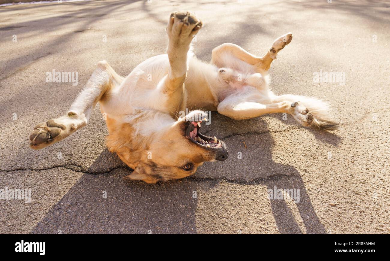 Trustful bond hi-res stock photography and images - Alamy