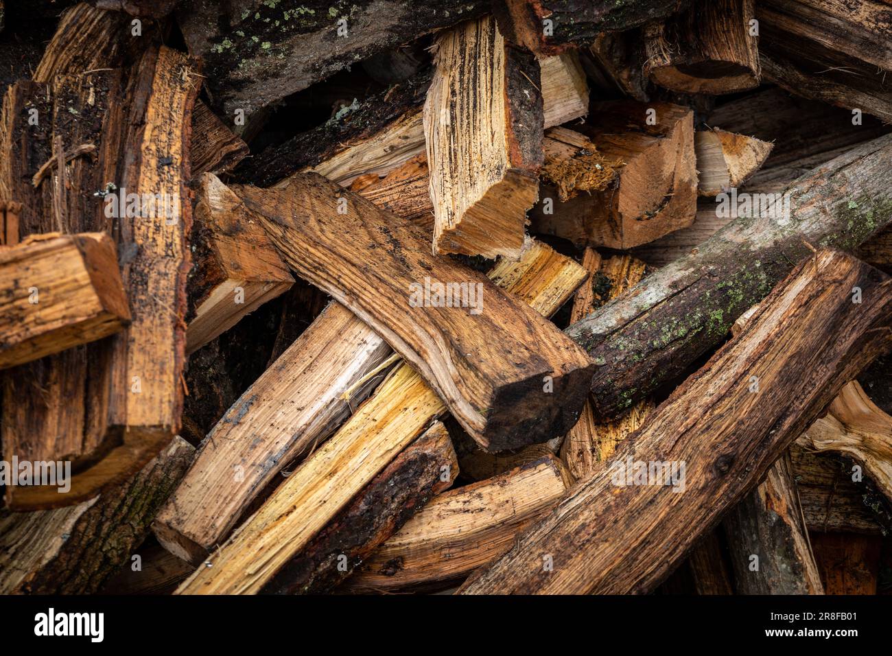 A stack of wood logs leaning against a bush in an outdoor setting Stock ...
