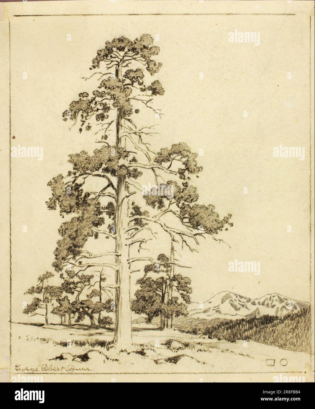 Untitled (transfer drawing for print) ca. 1920s by George Elbert Burr ...