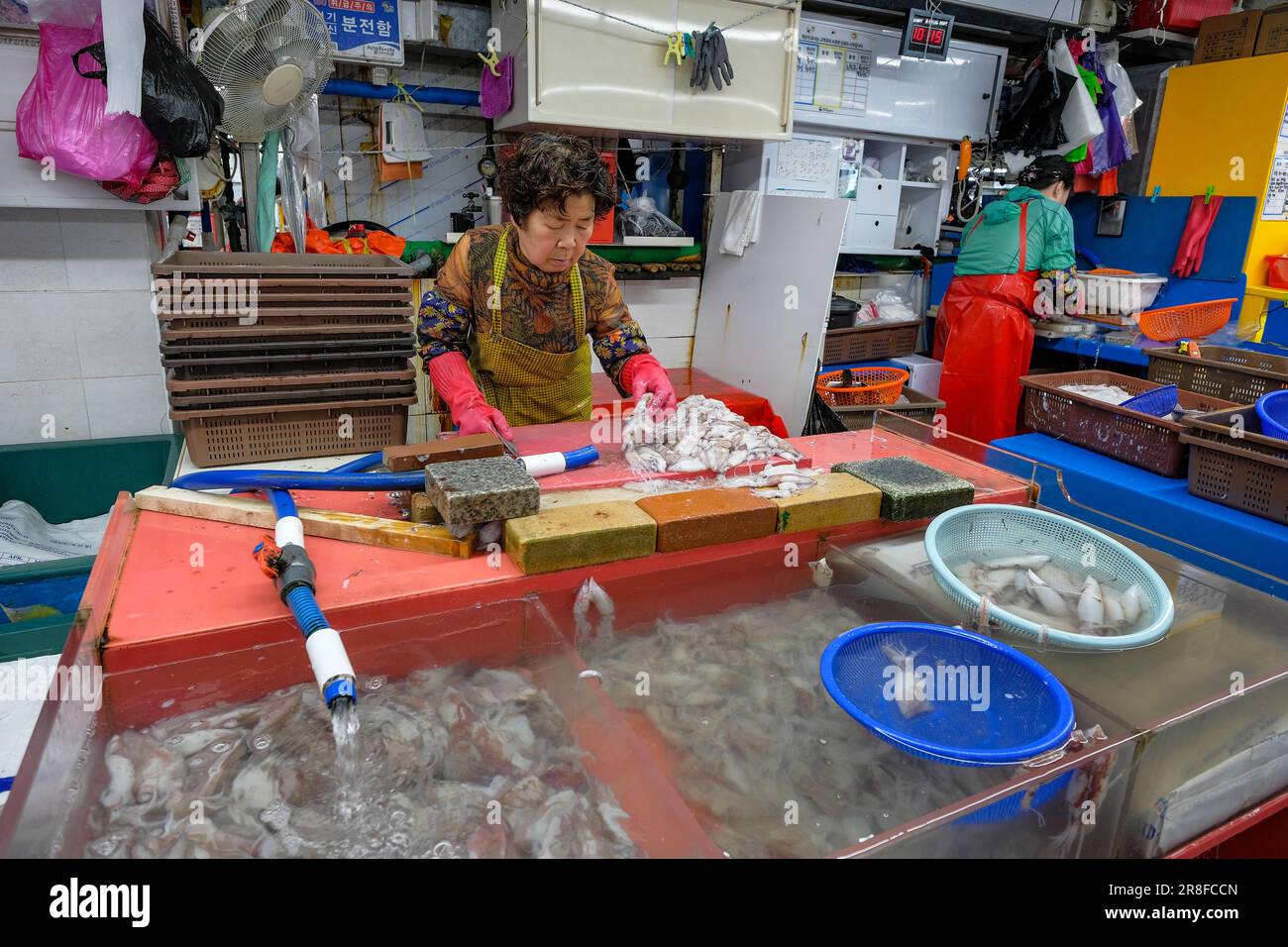 Busan, South Korea - May 28, 2023: A woman selling squids in Jagalchi ...