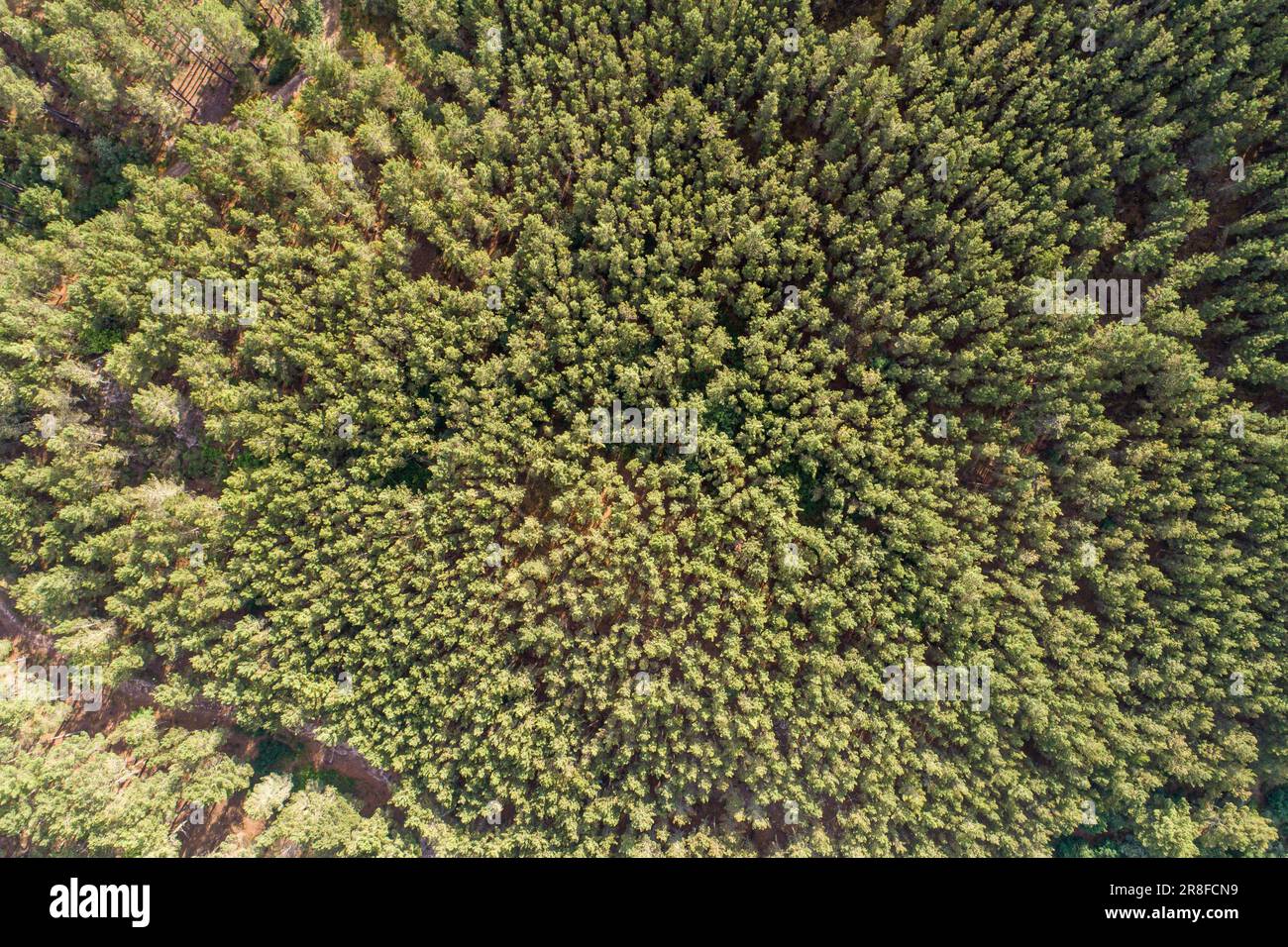 Drone flyover sunset over tree hi-res stock photography and images - Alamy