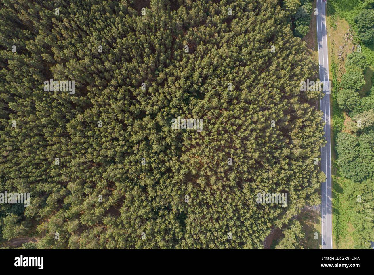 Drone green mountain path view hi-res stock photography and images - Alamy