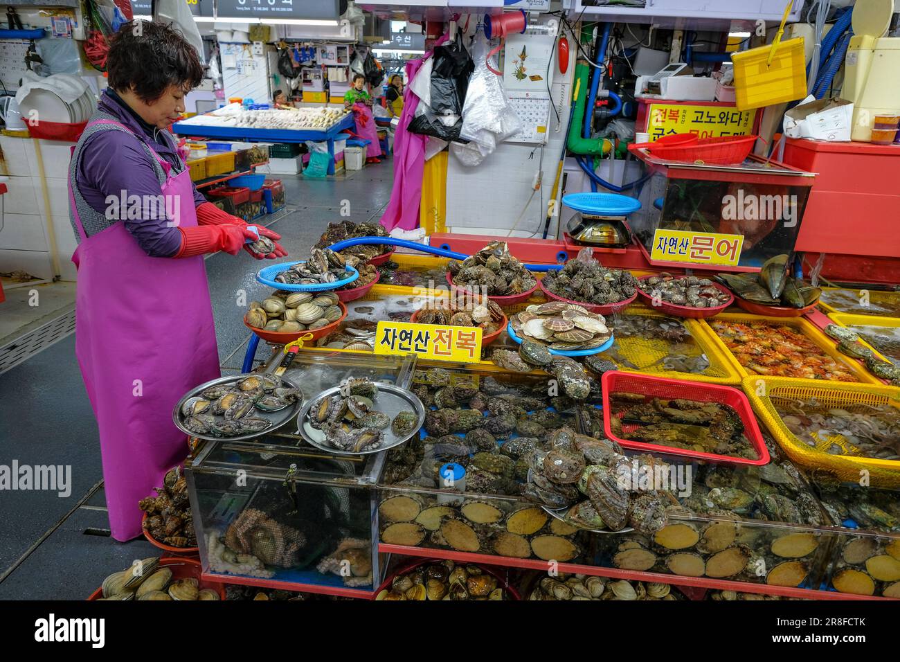Busan, South Korea - May 28, 2023: A woman selling fresh clams, mussels ...