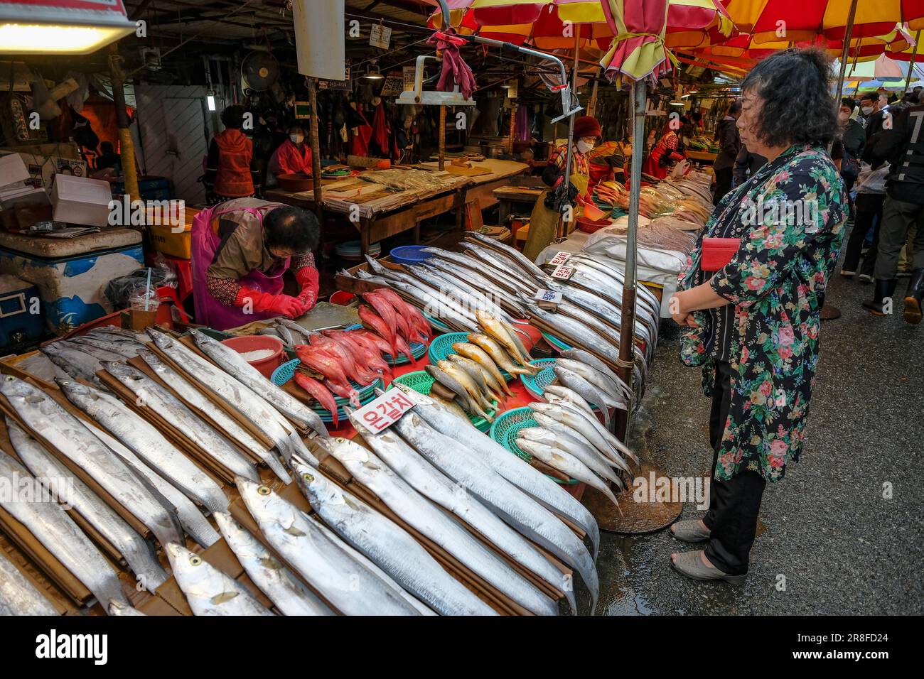 Busan, South Korea - May 28, 2023: Fish vendors in Jagalchi Market in ...