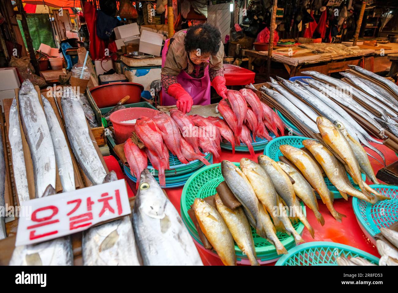 Busan, South Korea - May 28, 2023: Fish vendors in Jagalchi Market in Busan, South Korea Stock ...