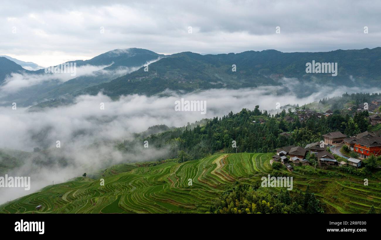 CONGJIANG, CHINA - JUNE 21, 2023 - Photo taken on June 21, 2023 shows ...