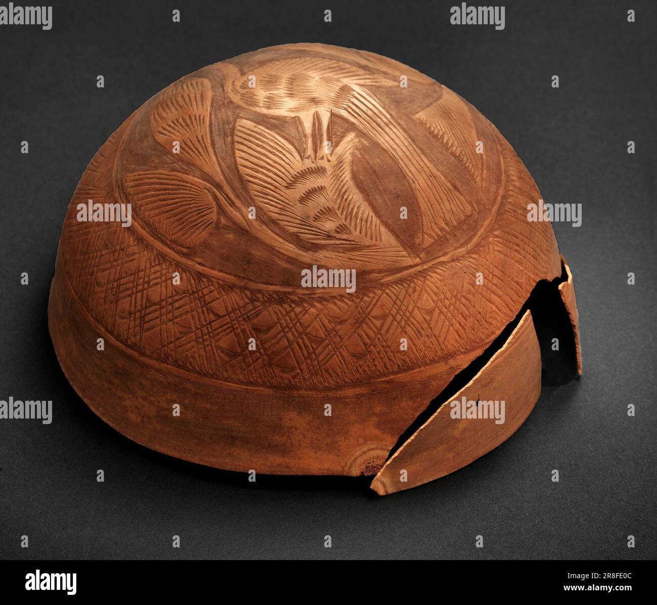 Gourd Shell [] by Unidentified Stock Photo - Alamy