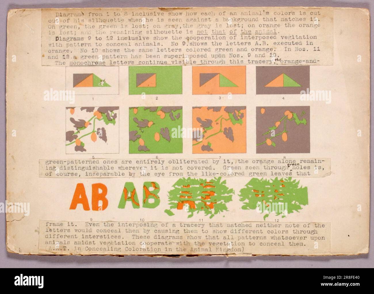Diagram and Copperhead Snake, study folder for book Concealing ...