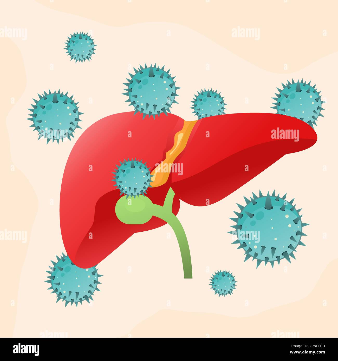vector illustration hepatitis viruses attacking liver Stock Vector Image & Art - Alamy