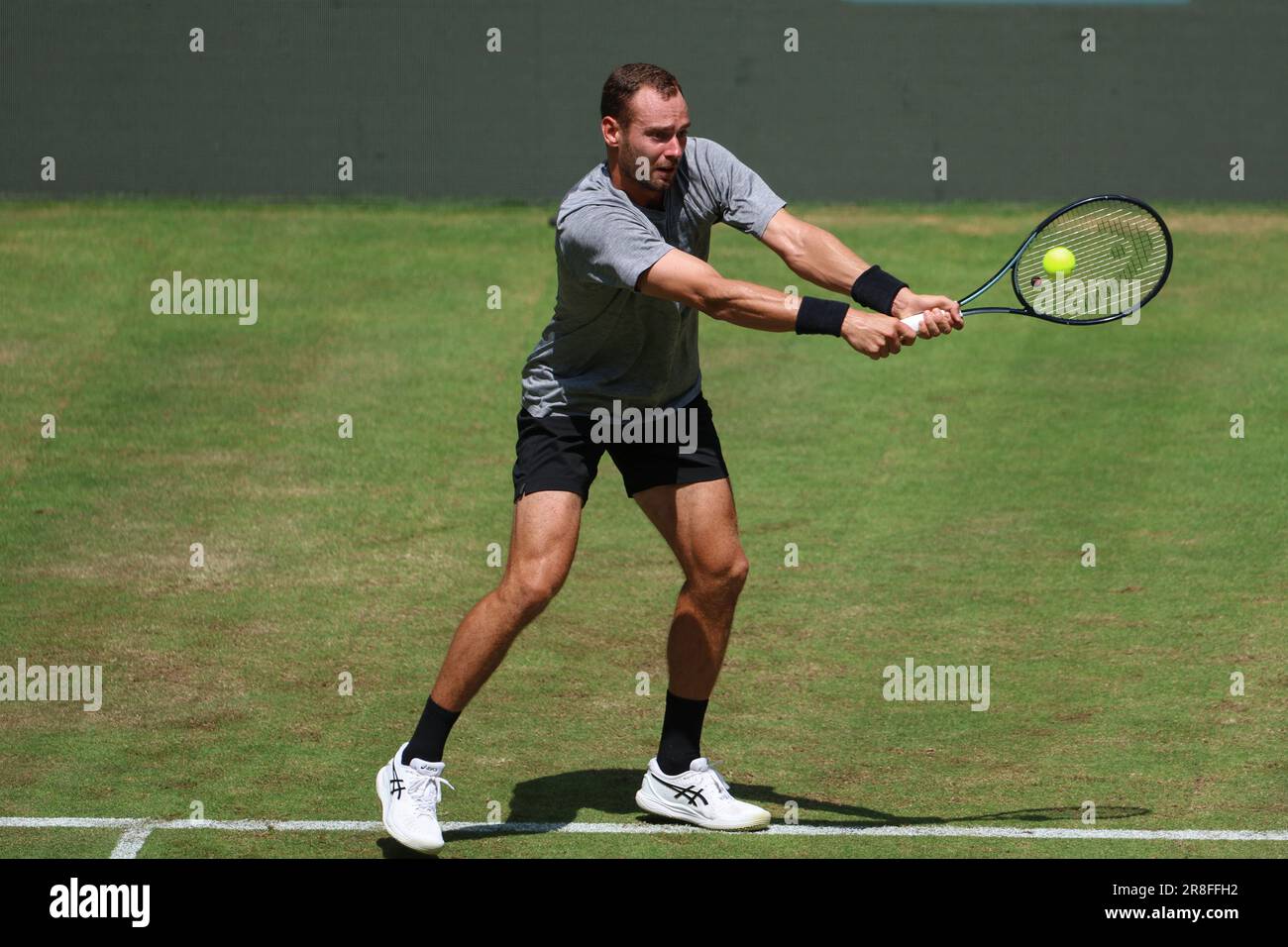 Roman safiullin hi-res stock photography and images - Alamy