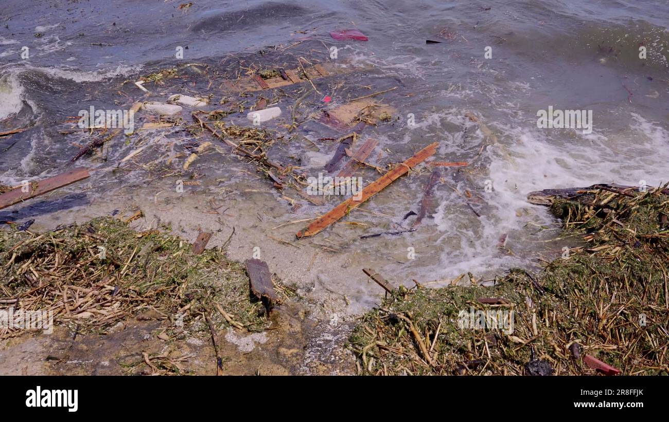Close-up of floating debris has reached Black Sea beaches in Odessa ...