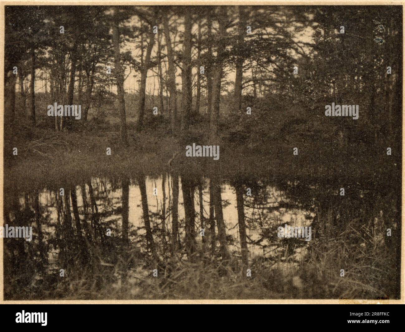 Trees Reflected in a Pond, Twilight ca. 1900 by William J. Mullins ...