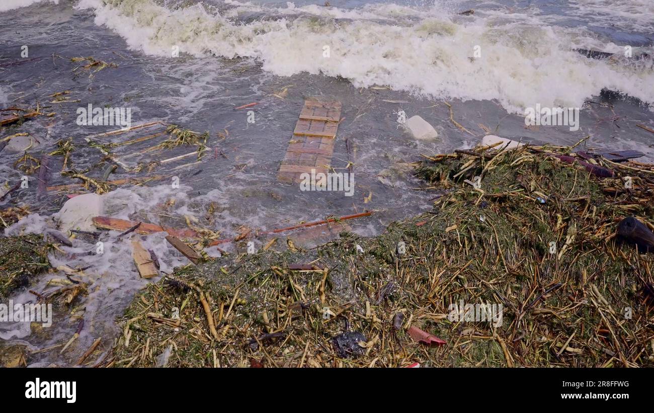 Close-up of floating debris has reached Black Sea beaches in Odessa ...