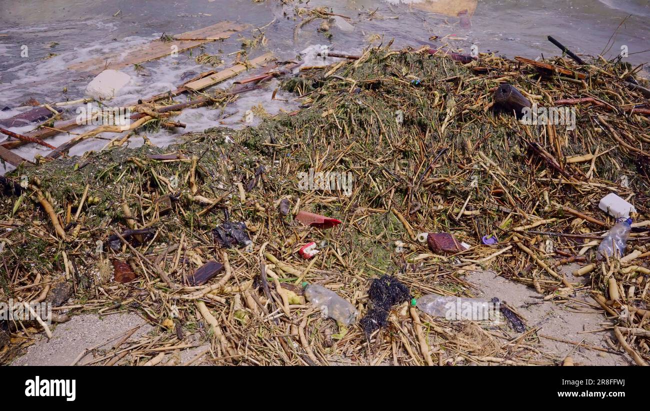 Close-up of floating debris has reached Black Sea beaches in Odessa ...