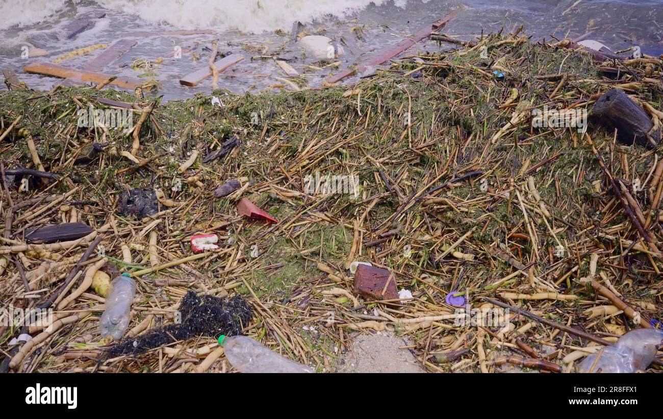 Close-up of floating debris has reached Black Sea beaches in Odessa ...