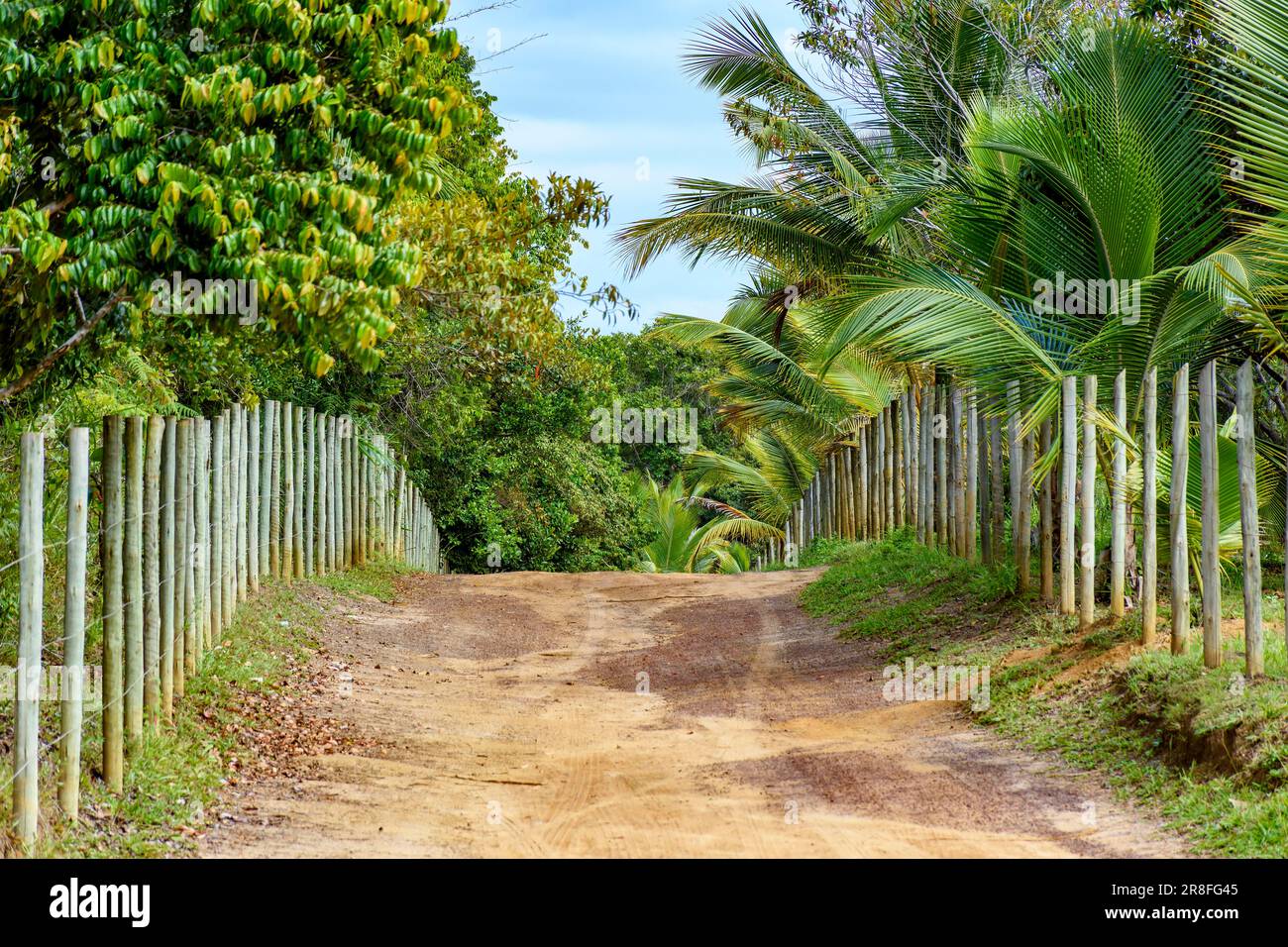 Dirt road through the rural area of Serra Grande in Bahia with farm ...