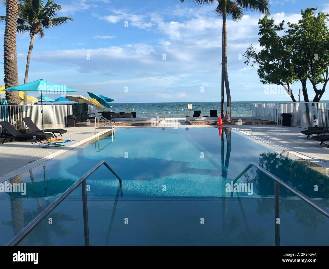 Serene reflection pool surrounded by palm trees hi-res stock ...