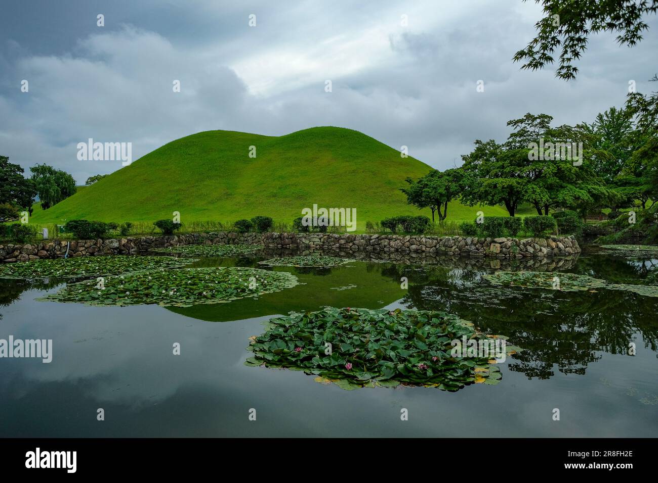 Gyeongju, South Korea - June 1, 2023: Daereungwon ancient tomb in ...
