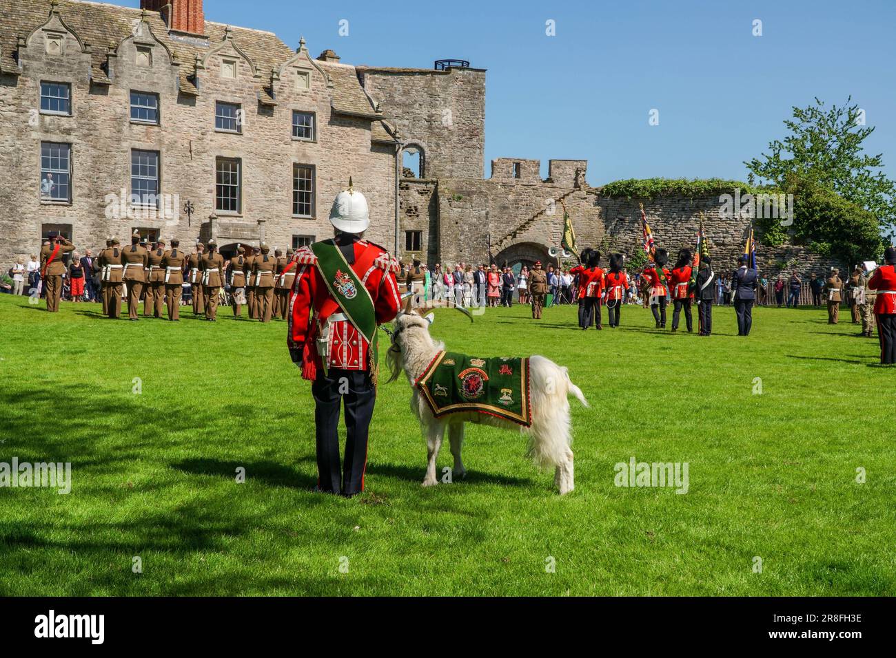Royal Welsh Guards with mascot celebrate the reaffirmation for their ...