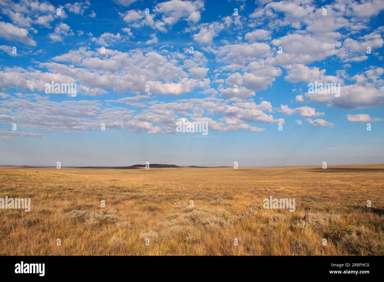 Balqash hi-res stock photography and images - Alamy