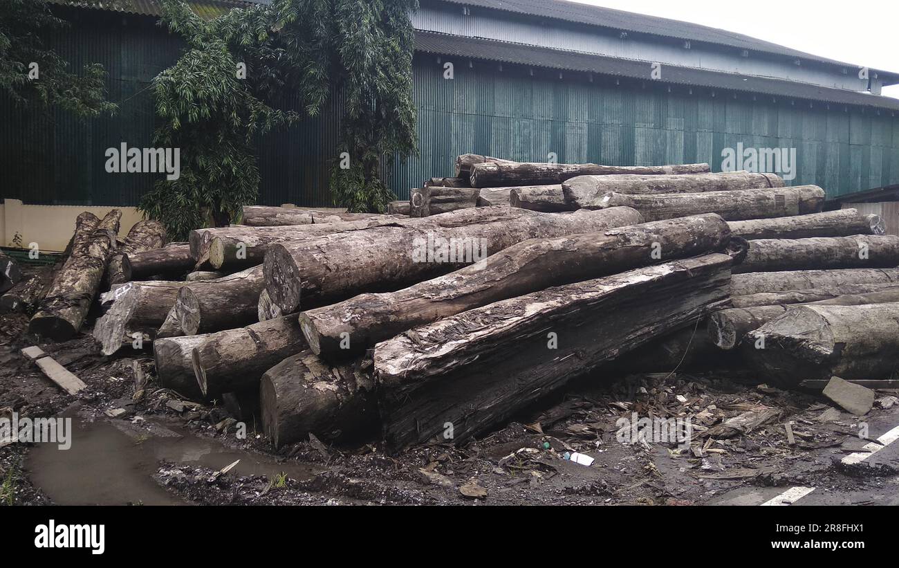 Industrial machine cutting wooden plank hi-res stock photography and ...