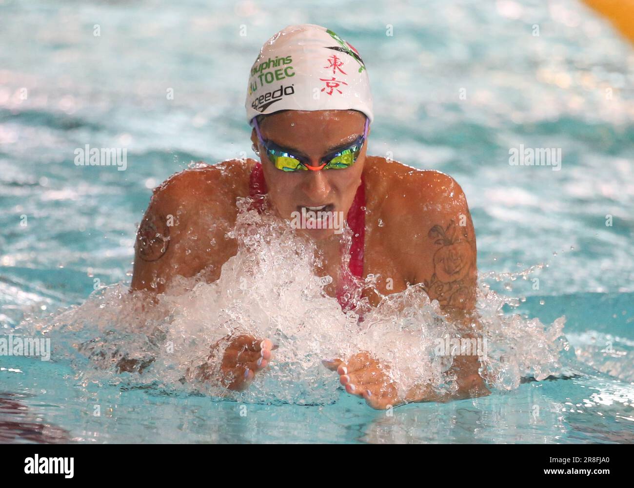 Lesaffre fantine hi-res stock photography and images - Alamy