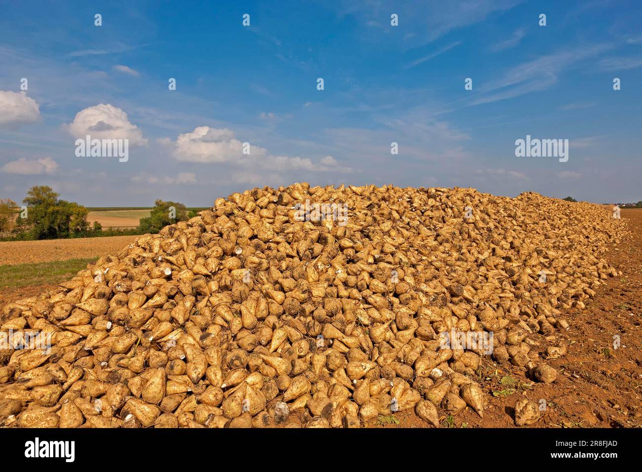 Harvest peak hi-res stock photography and images - Alamy