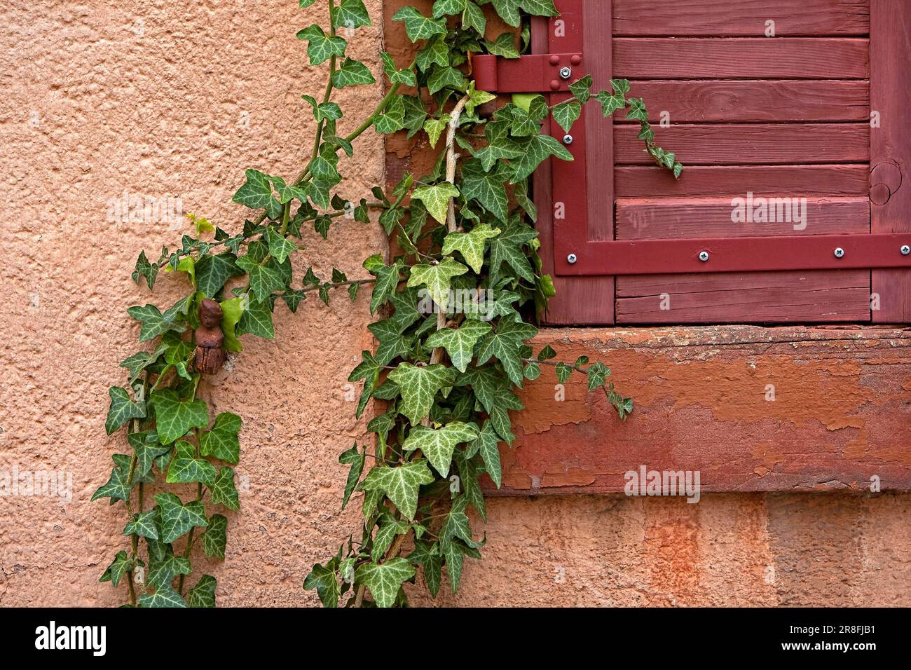 Facade with vine hi-res stock photography and images - Alamy