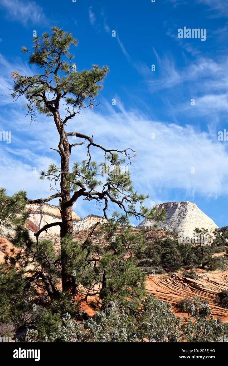 National park service gardens hi-res stock photography and images - Alamy