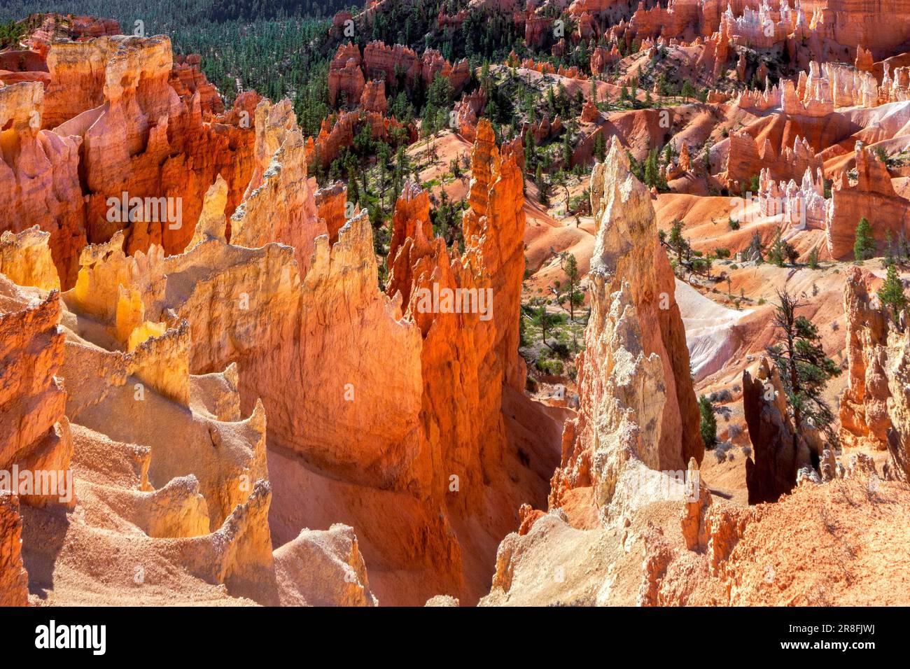 Treacherous environment hi-res stock photography and images - Alamy