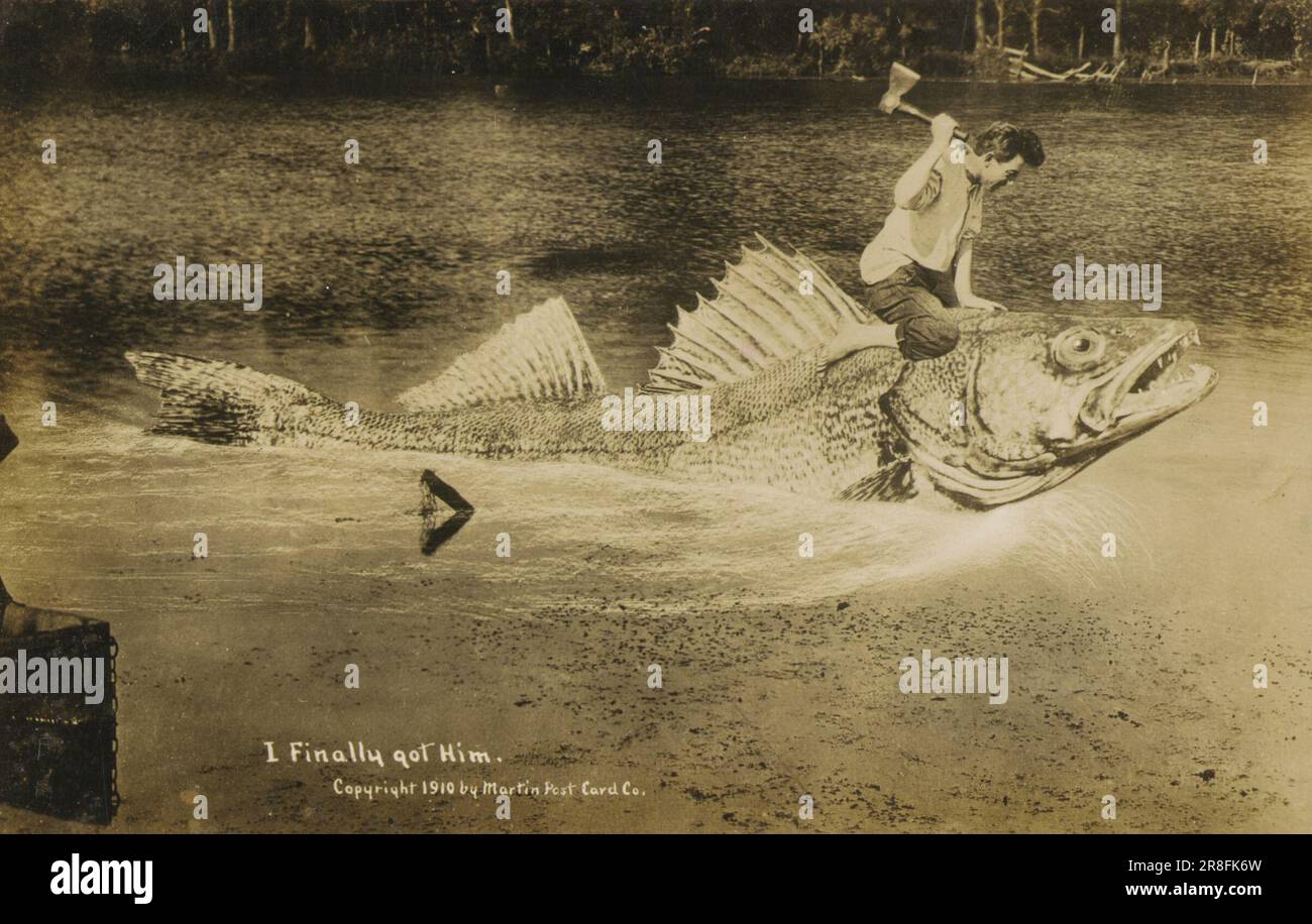 I Finally got Him ca. 1910s by W. H. Martin, born 1865-died 1940 Stock ...