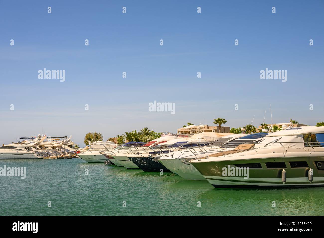 A fleet of large white boats are moored in a serene coastal bay, the ...