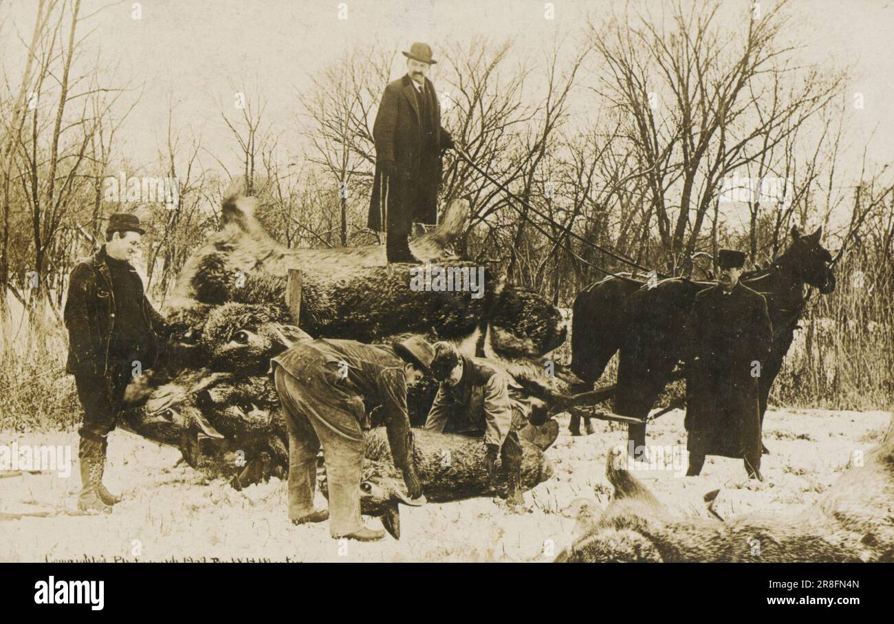 Dead rabbits hi-res stock photography and images - Alamy