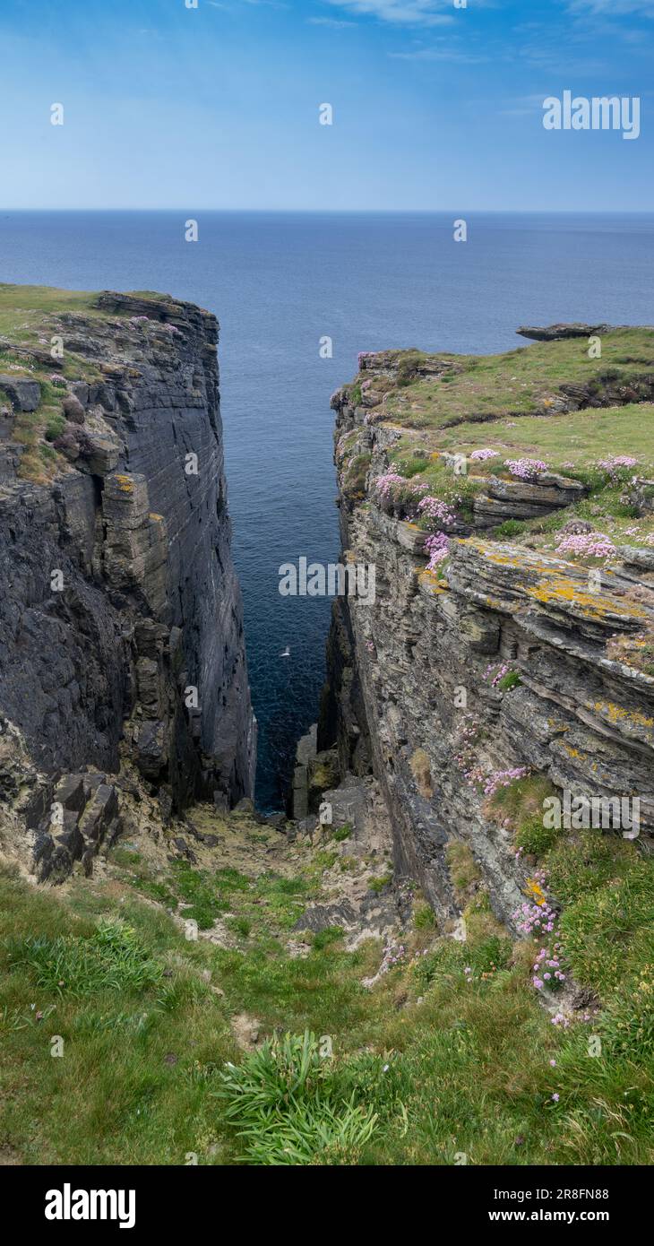Steep dangerous cliffs on Brough of Birsay, facing the Atlantic ocean ...