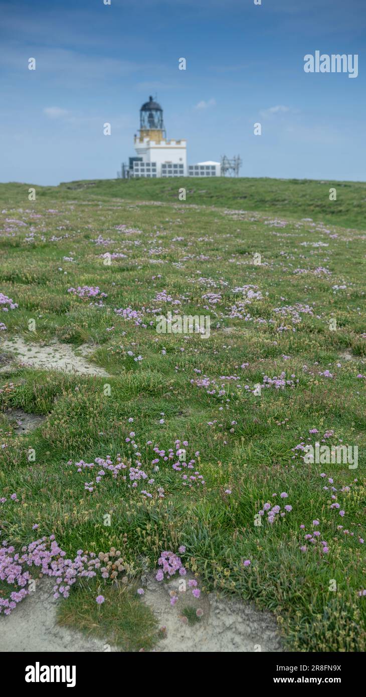 The unmanned Brough of Birsay Lighthouse in summer. It was built in ...