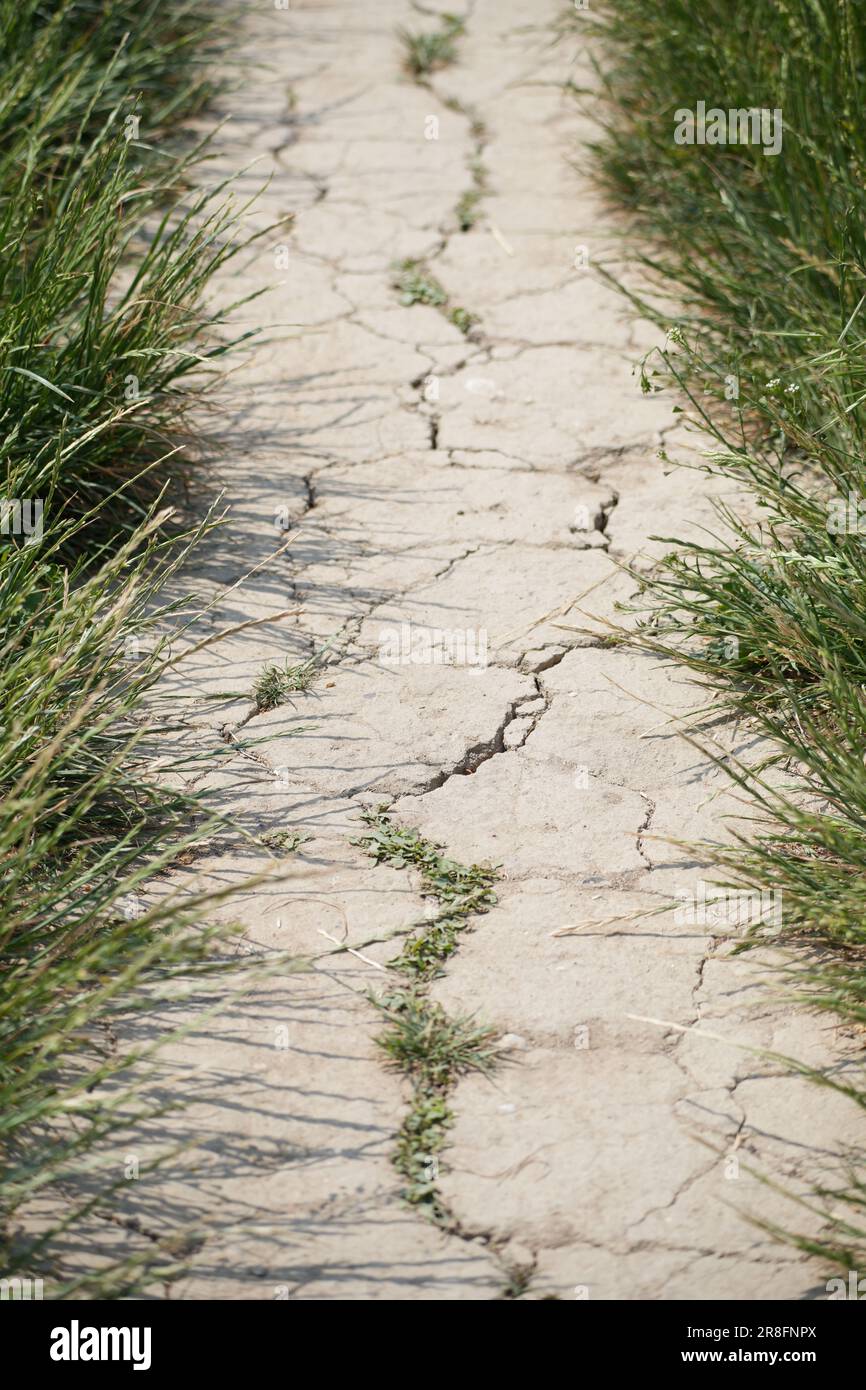 A dirt pathway located between a grassy field and a sandy area Stock ...