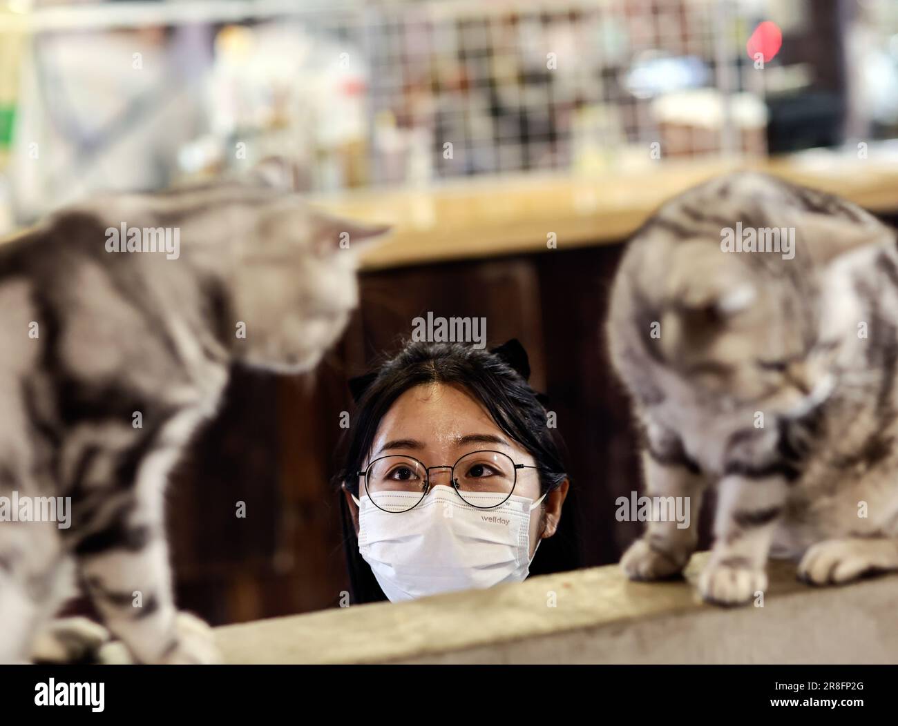 (230621) -- BEIJING, June 21, 2023 (Xinhua) -- A customer interacts ...