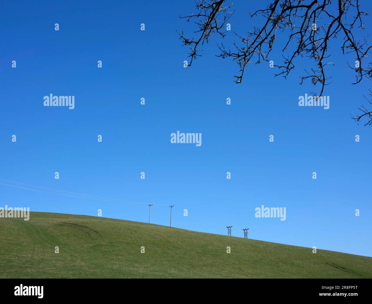 Against a clear blue sky, electricity pylons stand out on the horizon ...