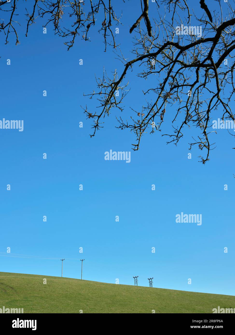 Against a clear blue sky, electricity pylons stand out on the horizon ...
