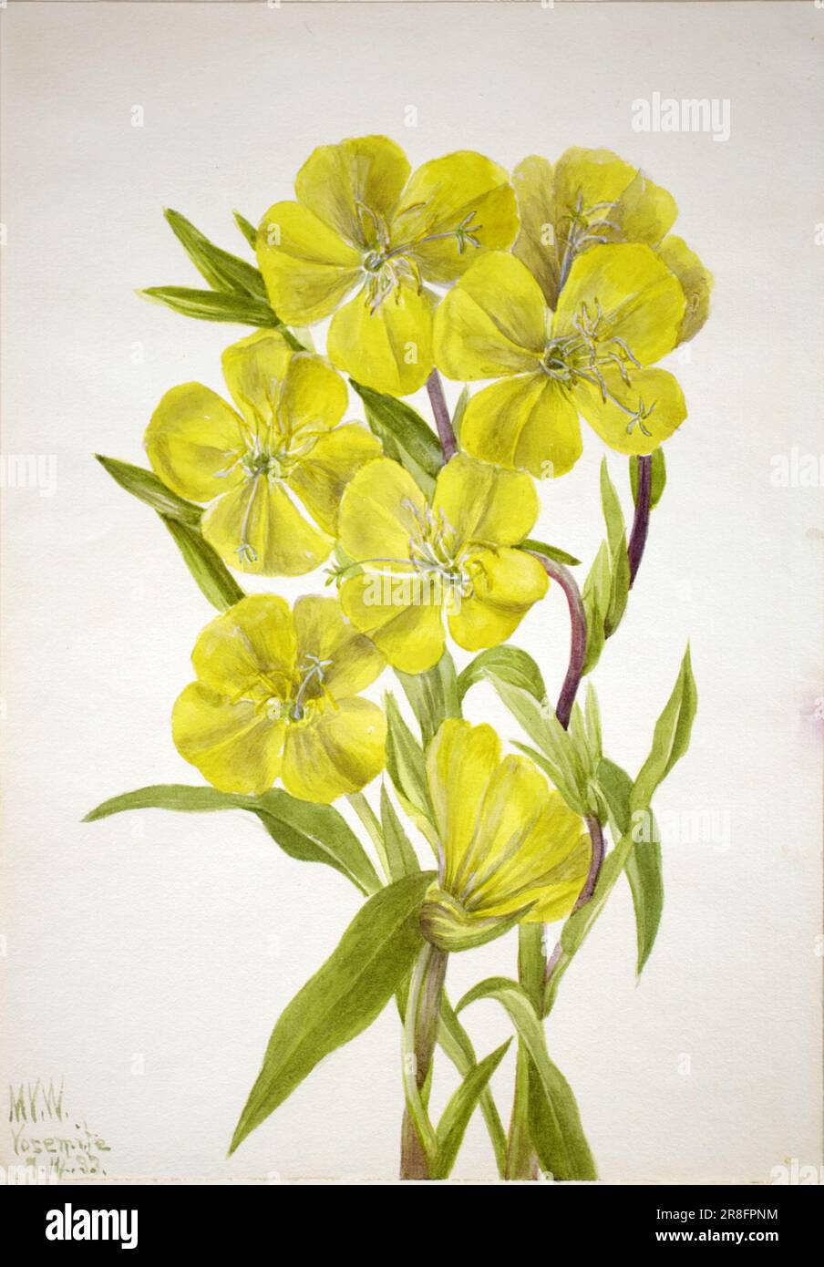 Philadelphia 1933 hi-res stock photography and images - Alamy