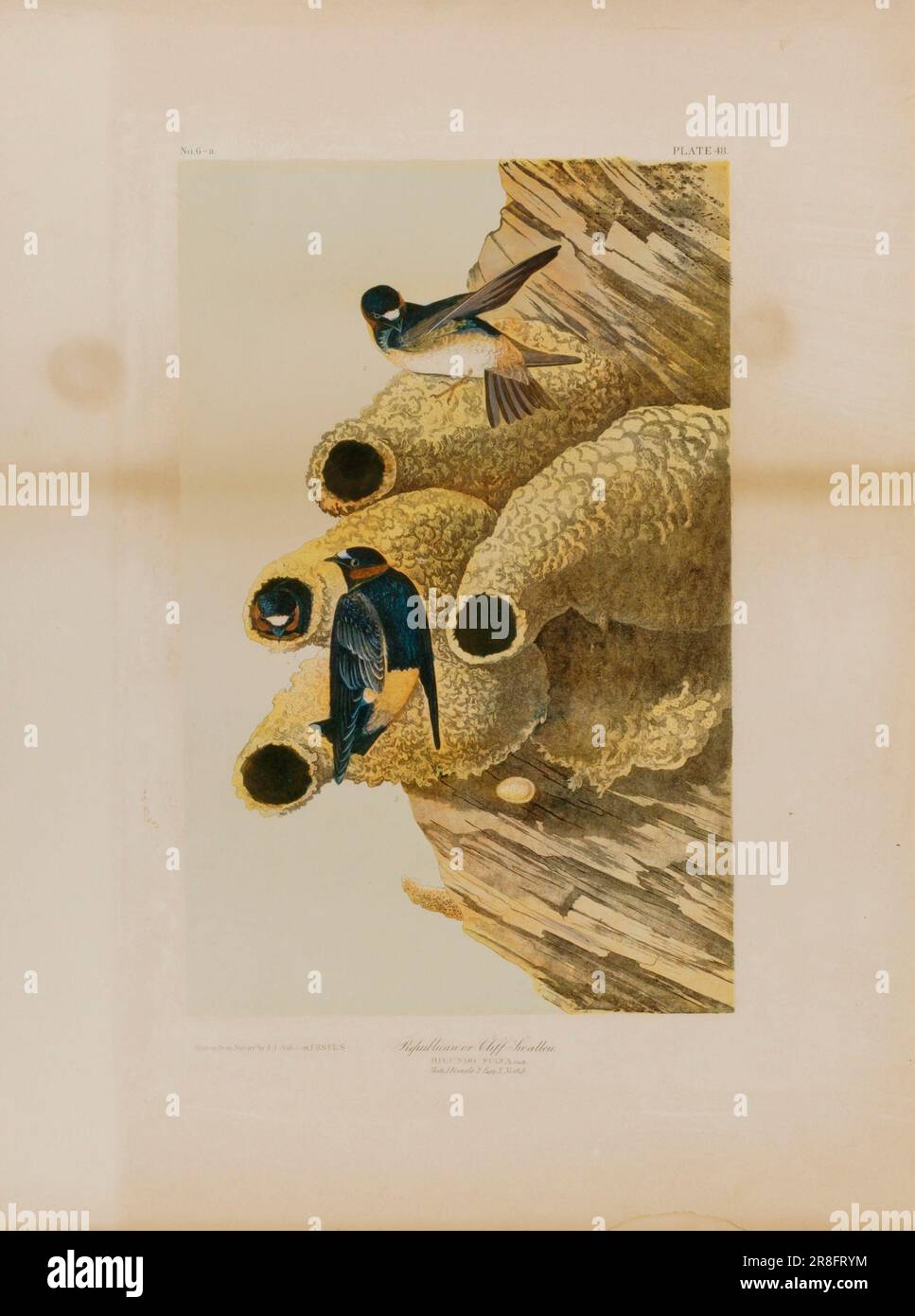 Bien julius hi-res stock photography and images - Alamy