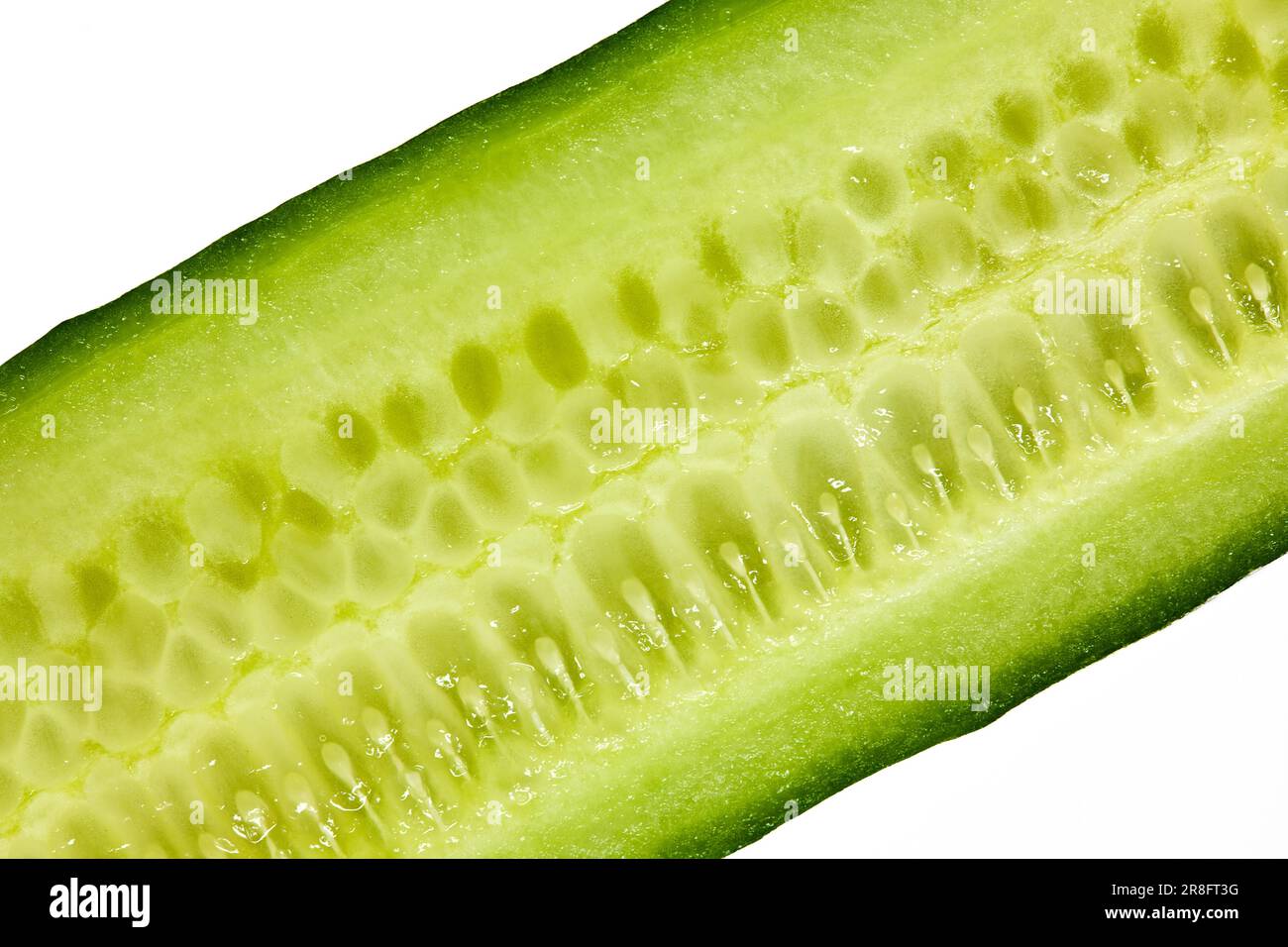 Cucumber close-up against white background Stock Photo - Alamy