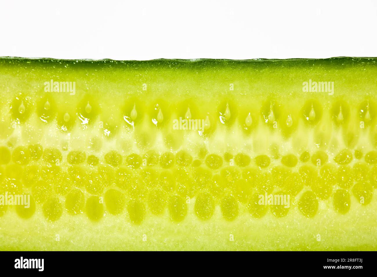 Cucumber close-up against white background Stock Photo - Alamy