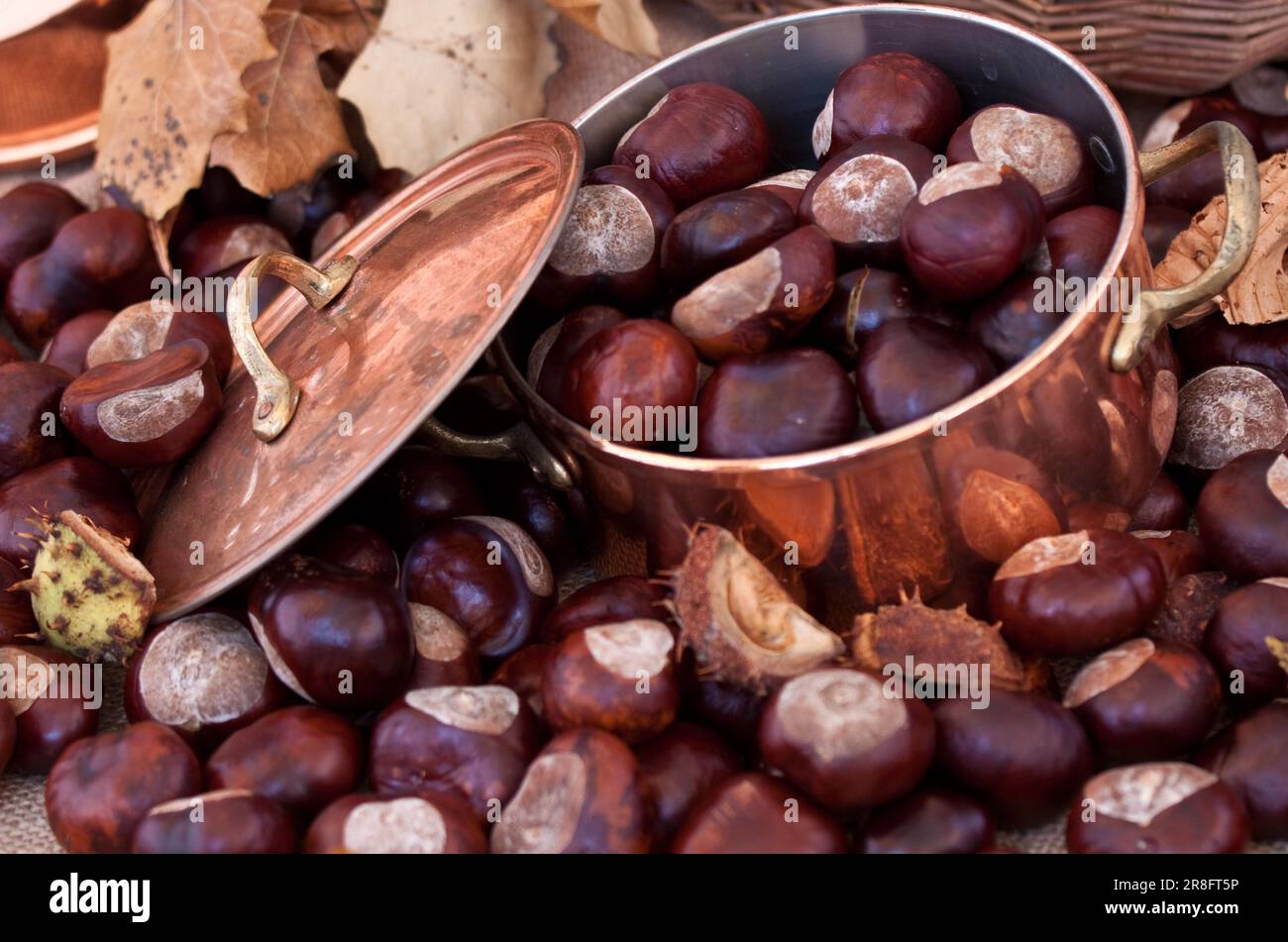 Chestnuts and copper kettle, autumn concept picture, with shells and ...