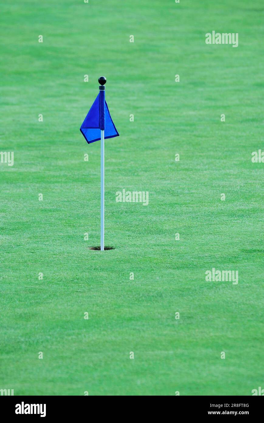 Blue flag on the putting green of a golf course Stock Photo - Alamy